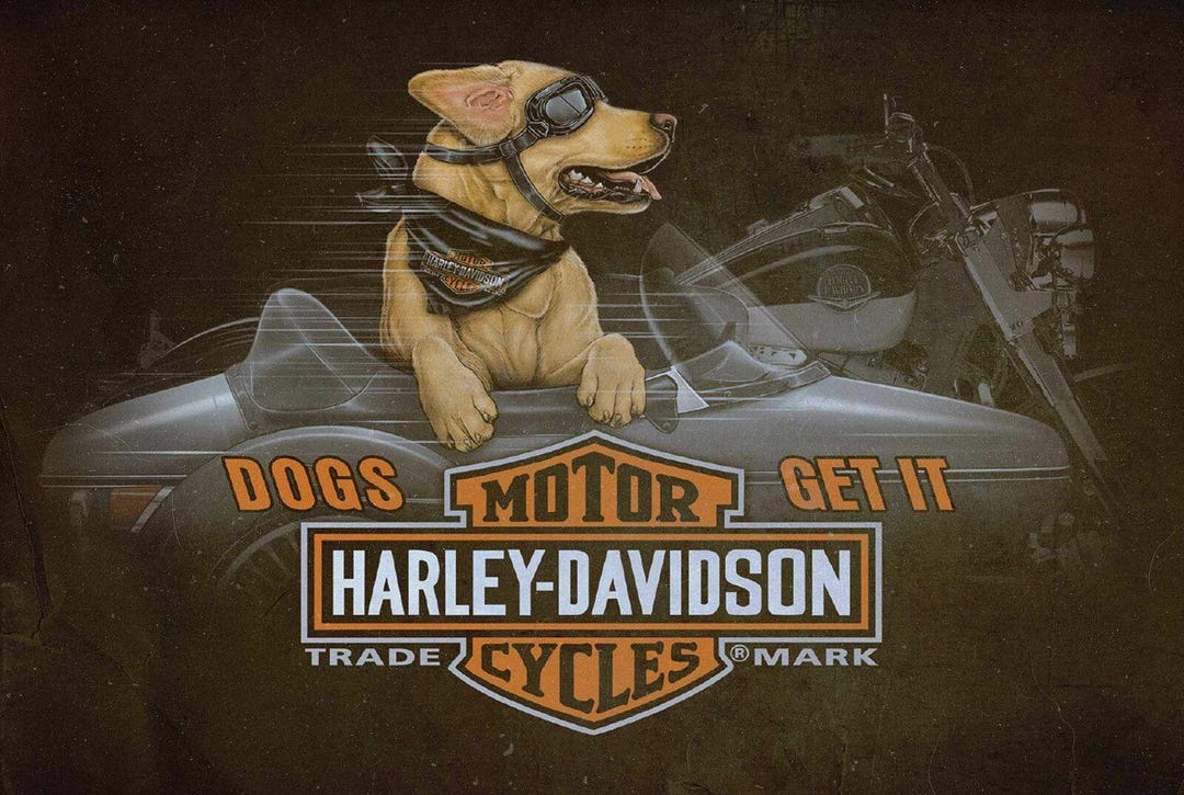 Harley Davidson Dogs Get It Side Car 36" Wide Heavy Duty USA Made Metal ...