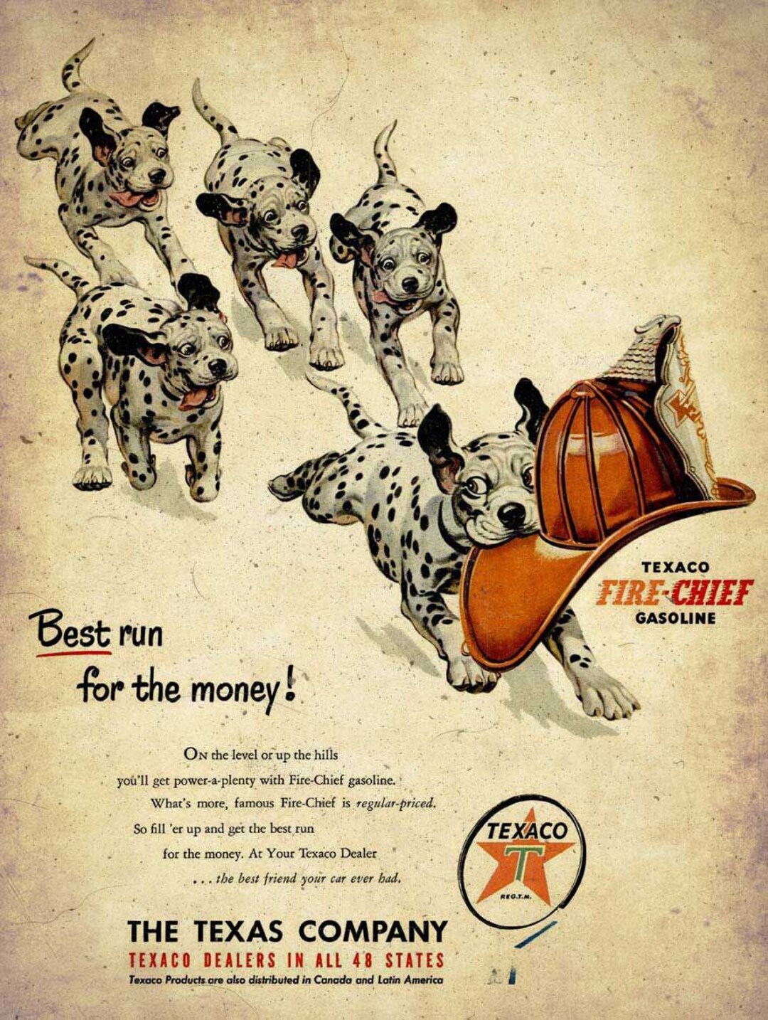 1951 Texaco Fire Chief Dalmatian Dogs 16 Heavy Duty USA Made Metal ...