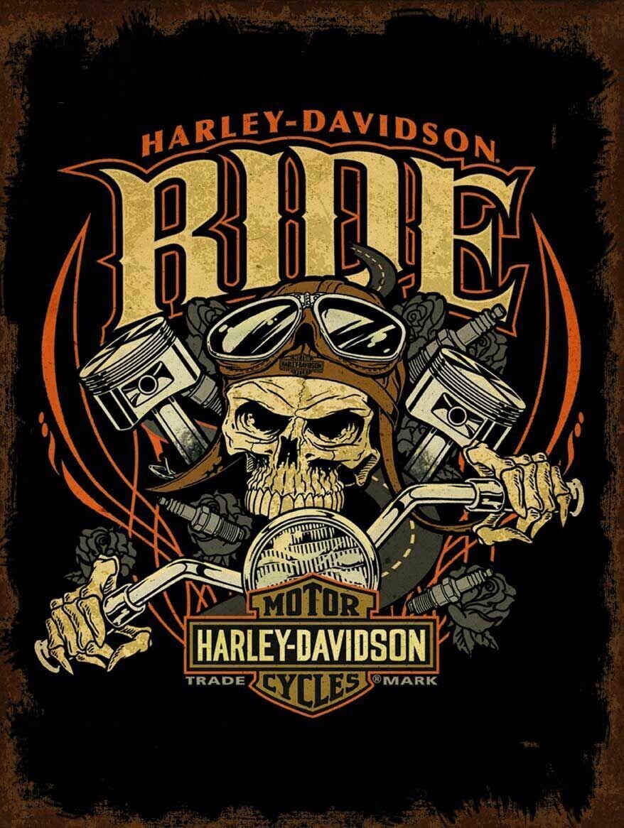 Harley Davidson Skull Skeleton Rider 16 Heavy Duty USA Made Metal ...