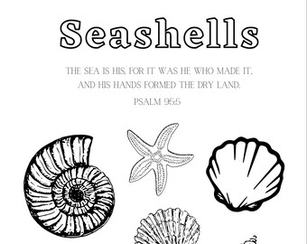 Seashell Printable Coloring - Etsy