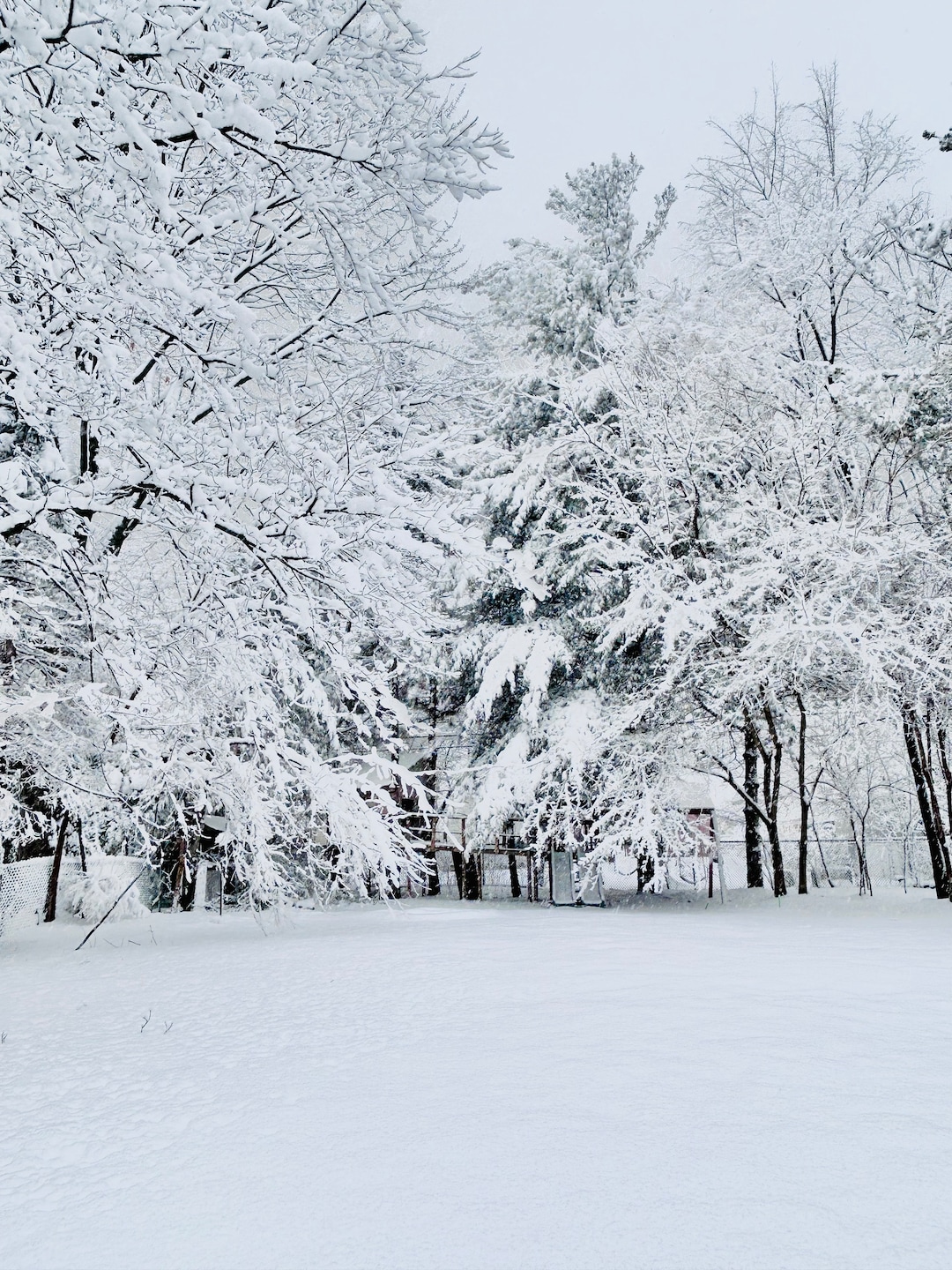 Snow Backdrop Snow Wall Art Snow Photo Backdrop Snowy Backdrop Snowy ...
