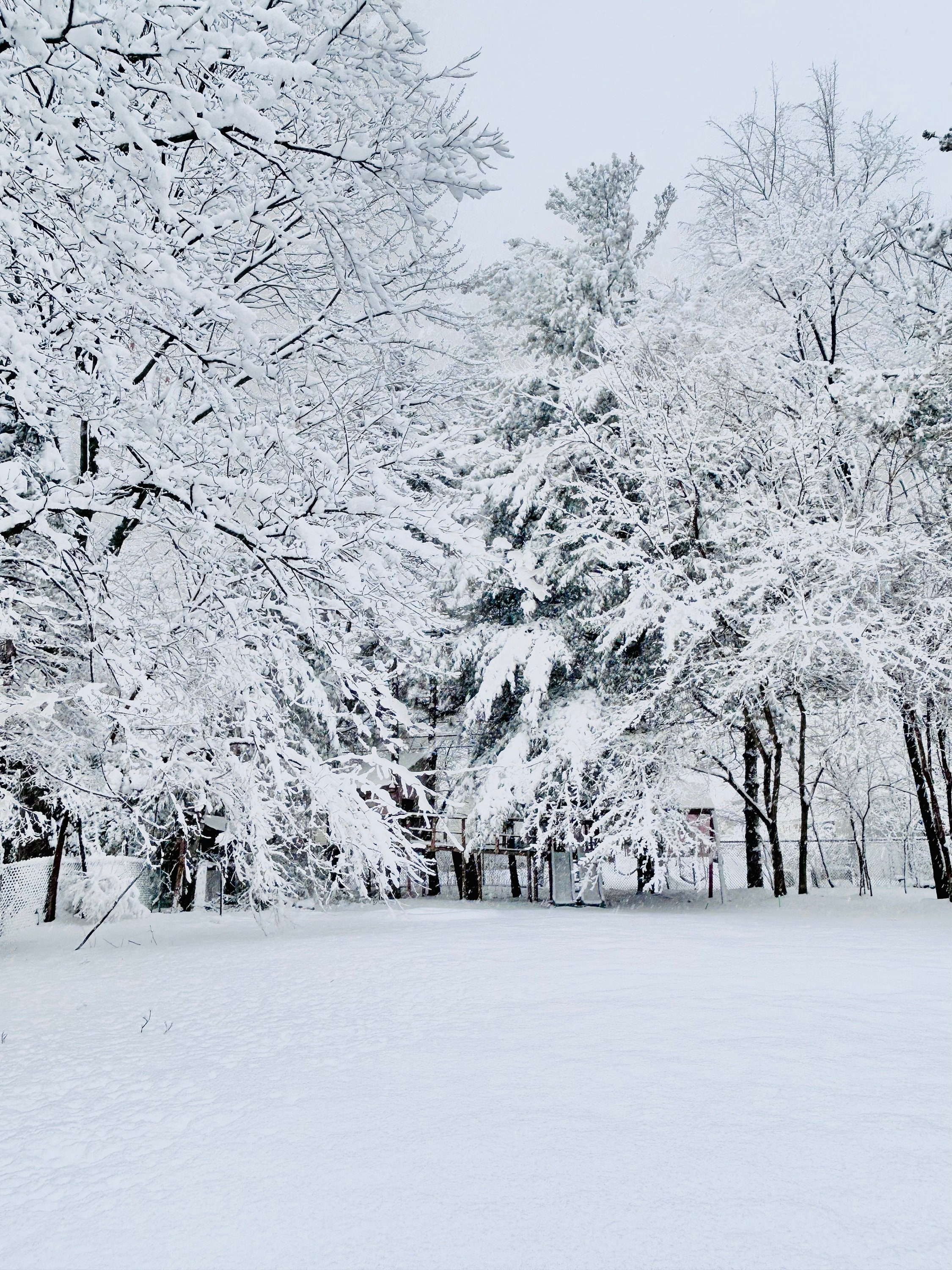 Snow Backdrop Snow Wall Art Snow Photo Backdrop Snowy Backdrop Snowy ...