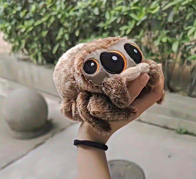 Lucas the Spider Jumping Spider Plush Doll - Etsy