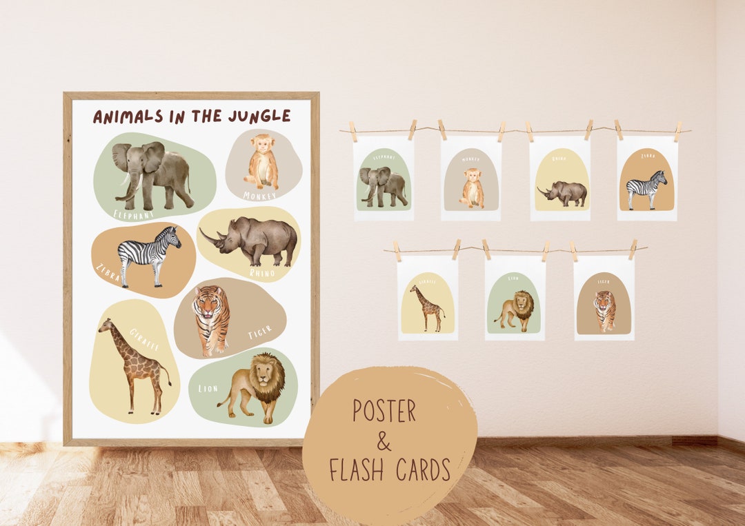 Jungle Animal Poster, Jungle Animal Flash Cards, Jungle Animals ...