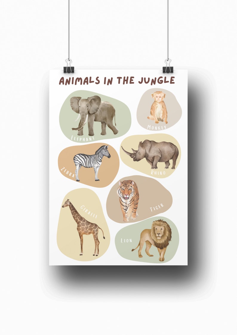 Jungle Animal Poster, Jungle Animal Flash Cards, Jungle Animals ...