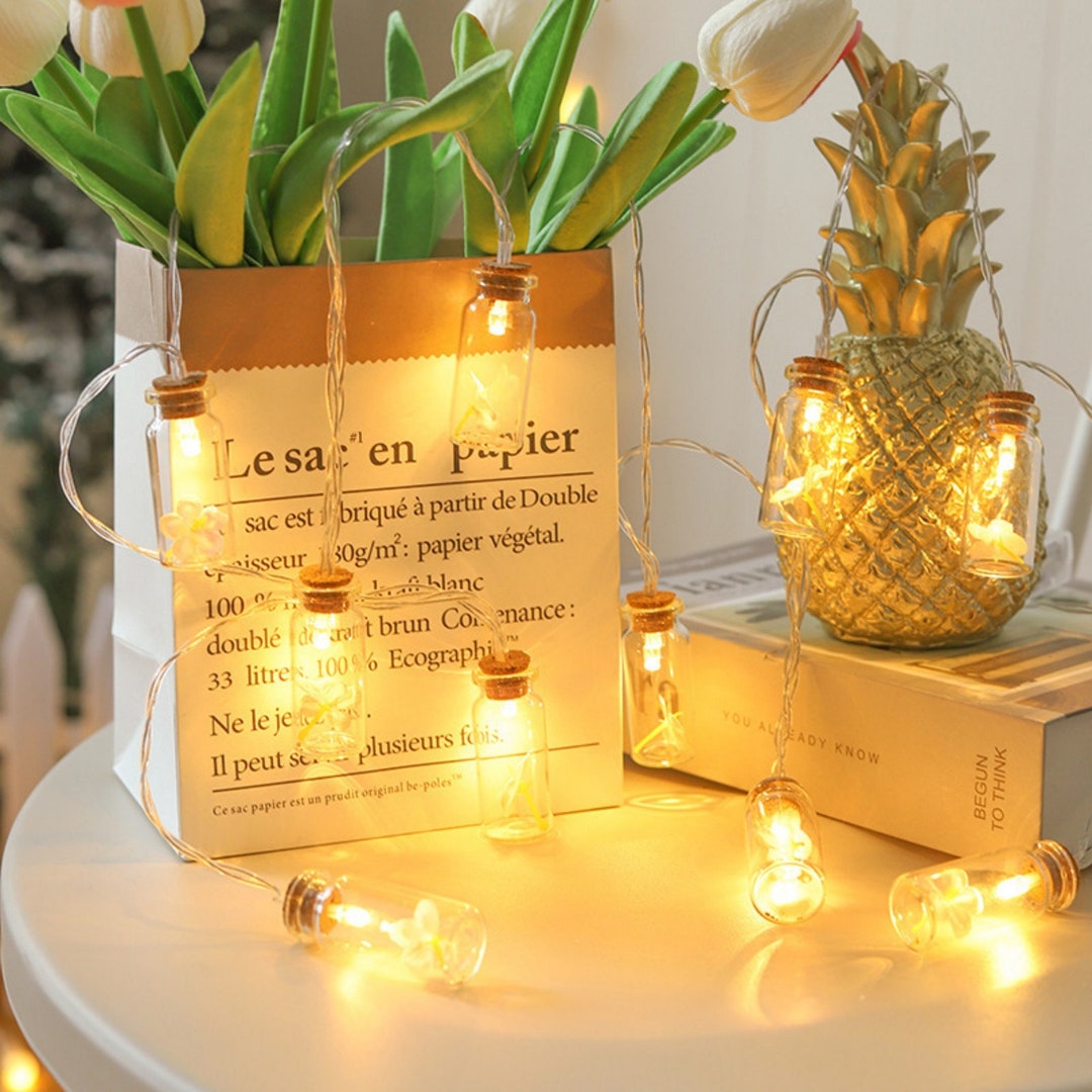 Magical Wishing Bottle String Lights , Fairy Lights for Wedding, Party ...
