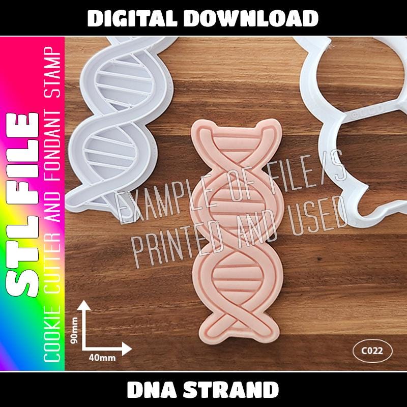 Science Cookies - Etsy