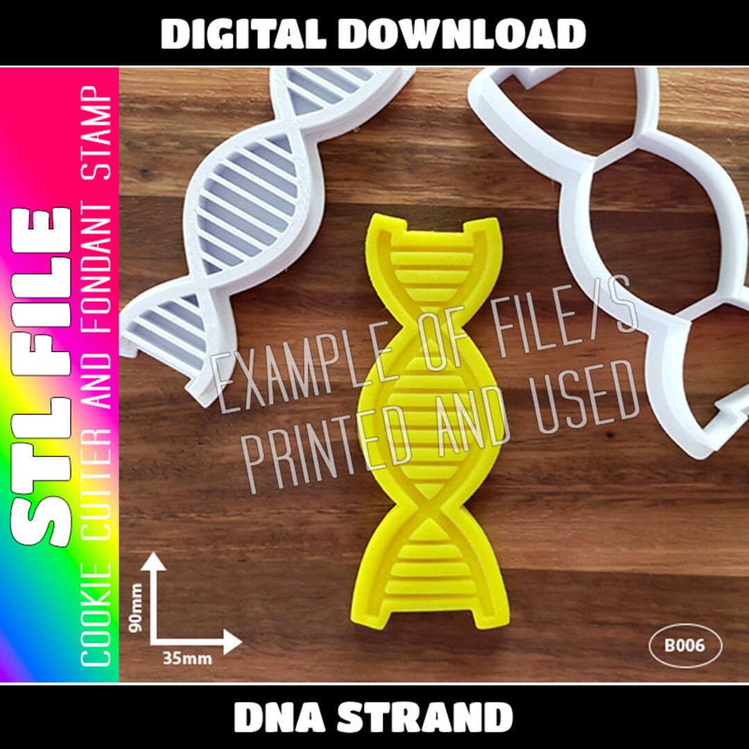 DIGITAL STL FILE Dna Strand Cookie Cutter and Fondant Stamp - Etsy