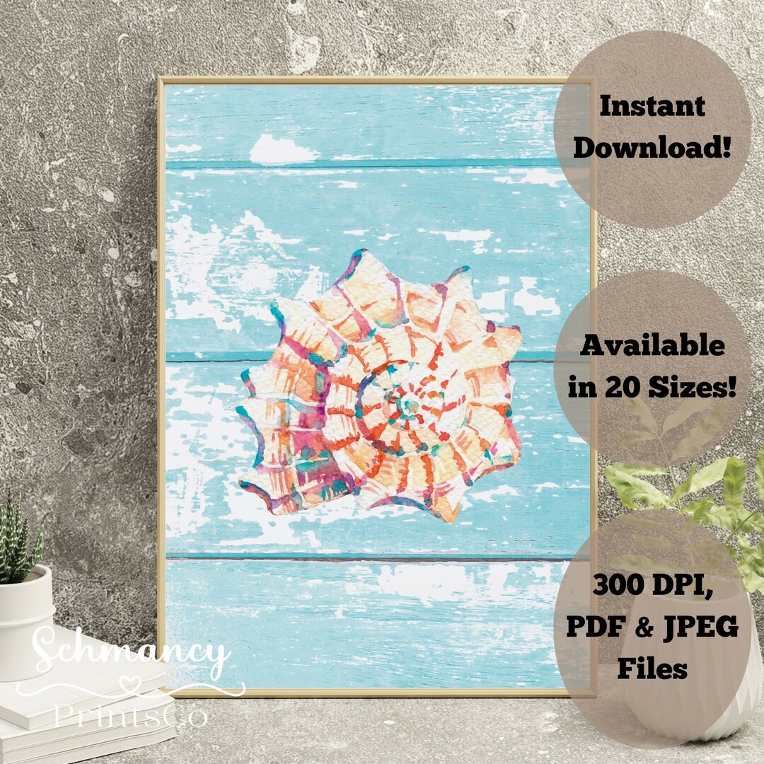 Seashell Wall Decor, Beachy Wall Art Nautical Decor, Ocean Wall Art ...
