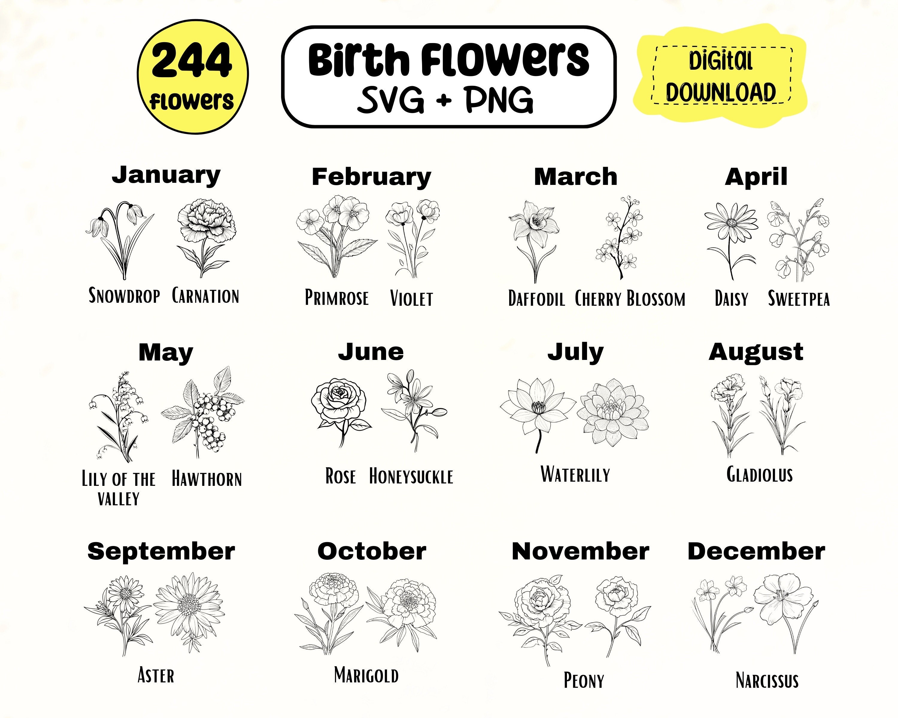Birth Flowers SVG, Birth Month SVG, Rose Svg, Poppy Svg, Birth Month ...