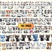 Cats Bundle Kawai Clipart, Cats Clipart, Cats Breeds, Kitten Clipart ...