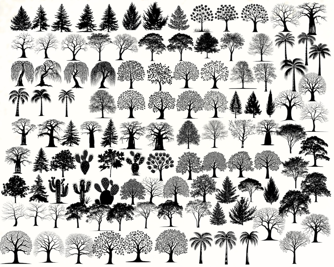 TREE Silhouette SVG Bundle, Evergreen Tree Svg, Tree Vector, Tree Cut ...
