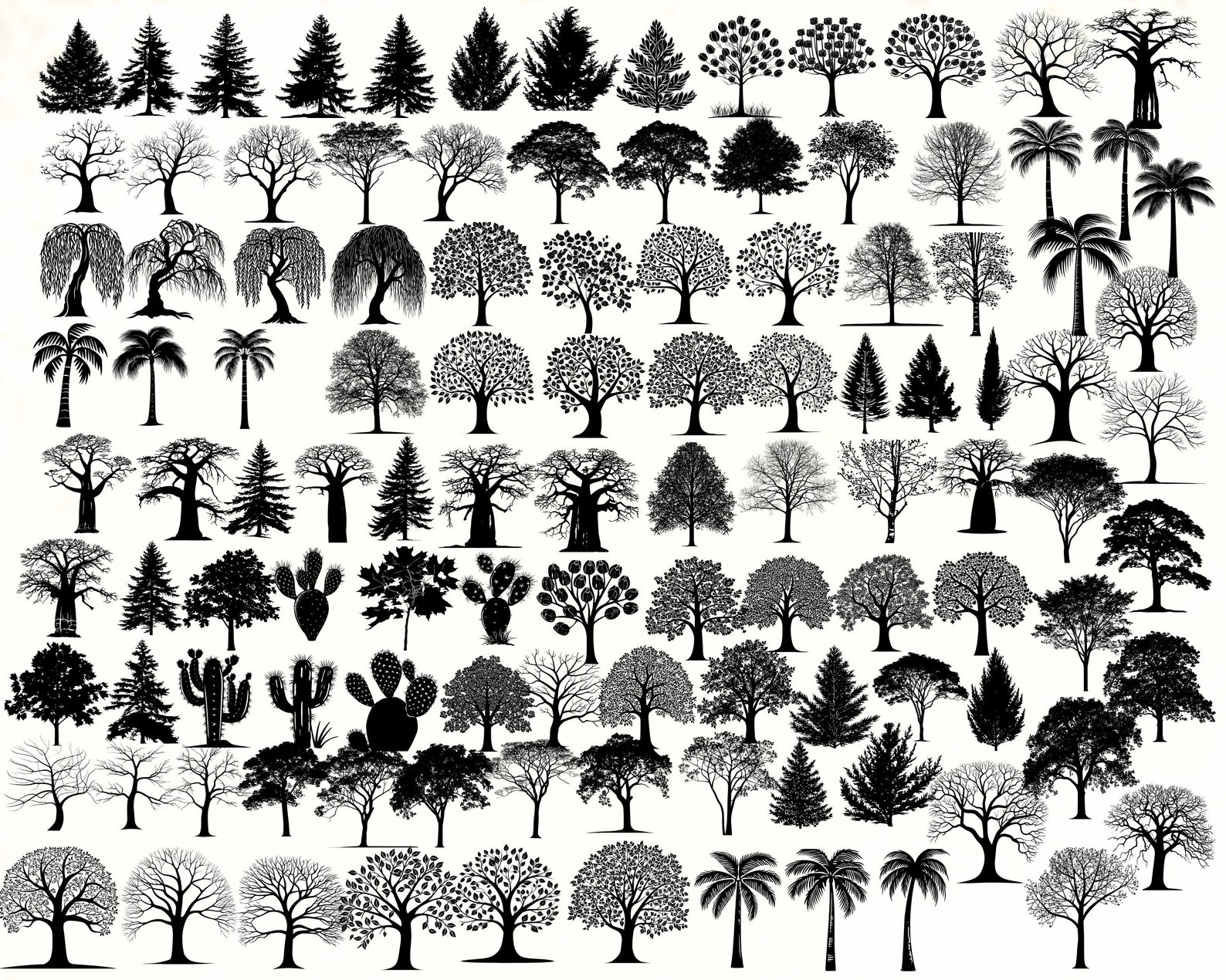 TREE Silhouette SVG Bundle, Evergreen Tree Svg, Tree Vector, Tree Cut ...