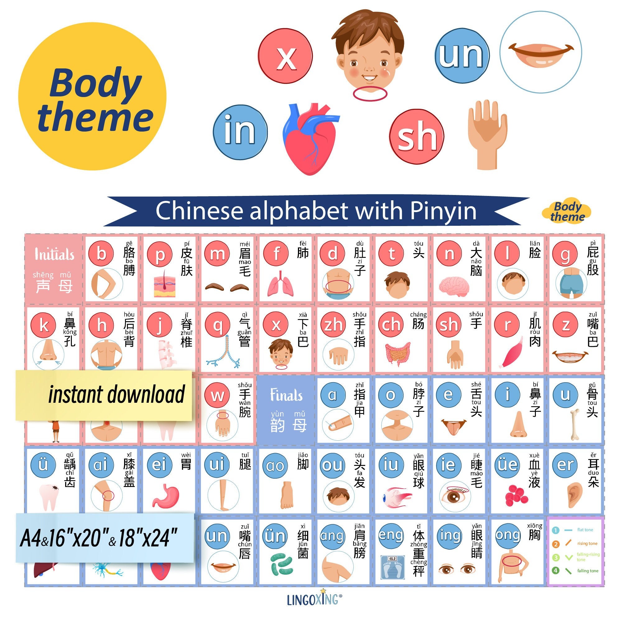 Chinese Alphabet Poster Pinyin Printable 16×20 Bopomofo Chart 18×24 - For Hairstyles