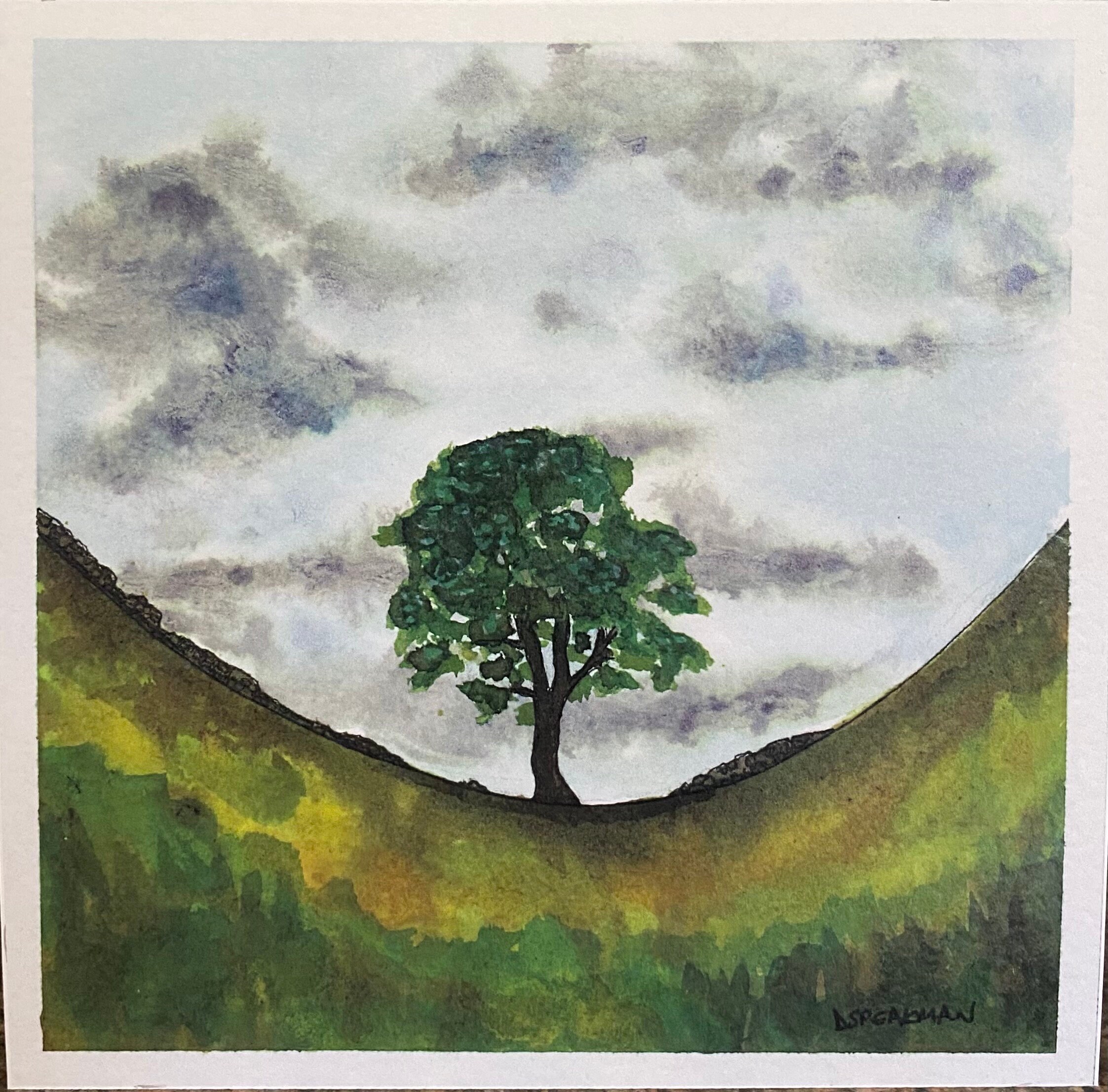 Sycamore Tree Painting