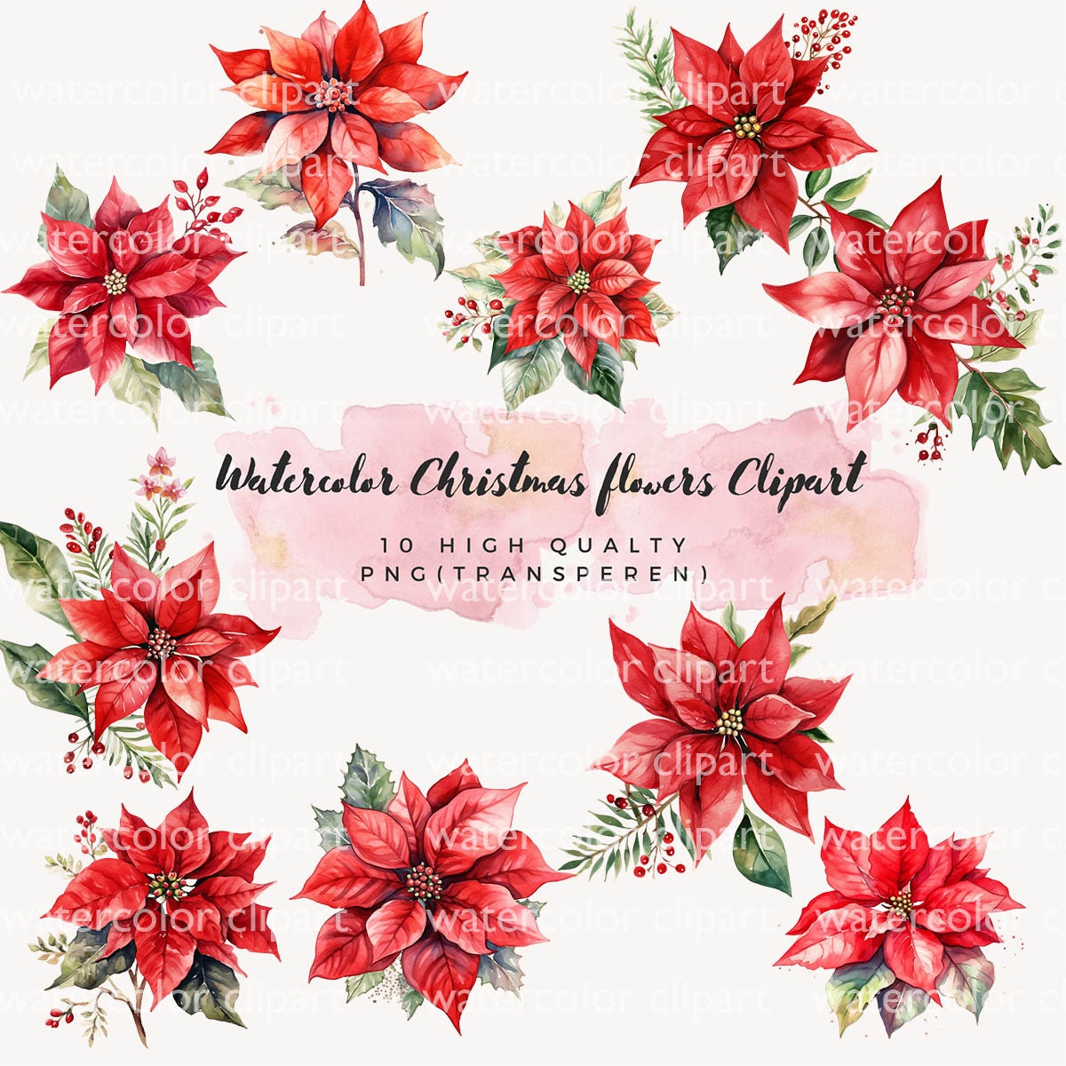 Poinsettia Flower Clipart Image