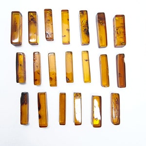 Natural Baltic Amber Cognac Color, Rectangular Shape Cabochons, Various ...