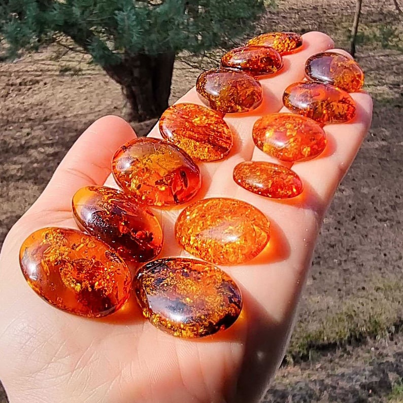 Natural Baltic Amber Cognac Color, Free Shape Flat Bottom Cabochons ...