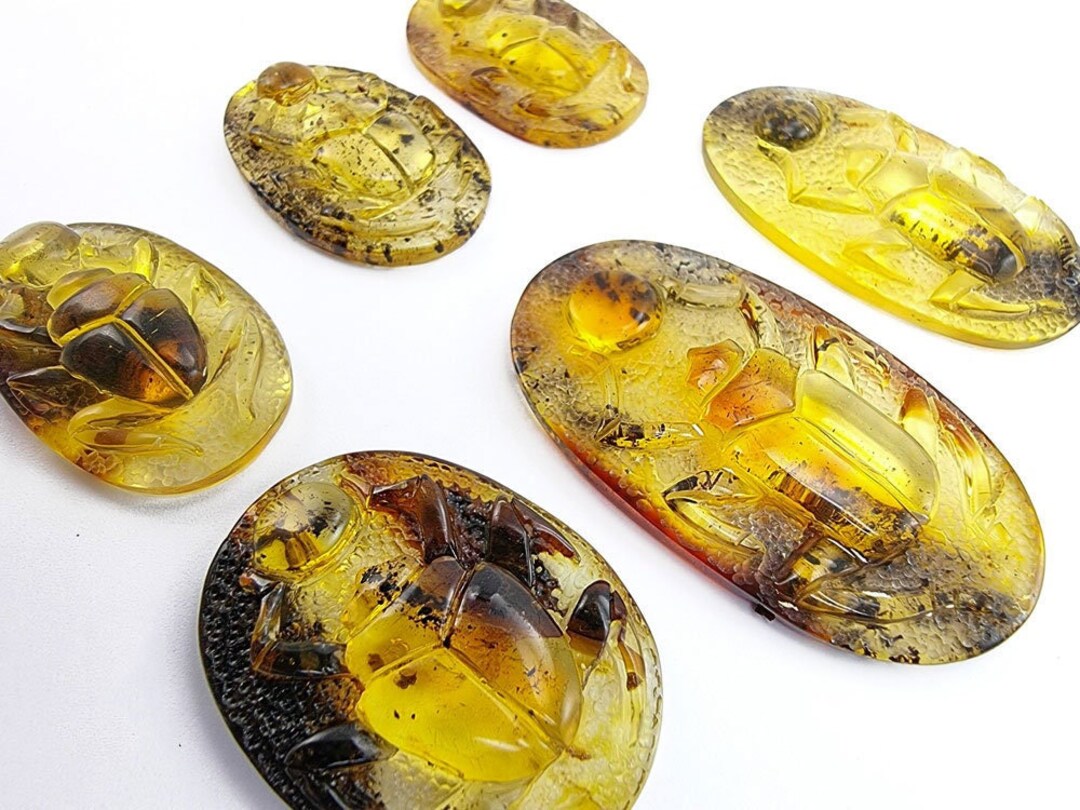 Carved Scarab Fossil Color, Free Shape Flat Bottom Cabochons, Various ...