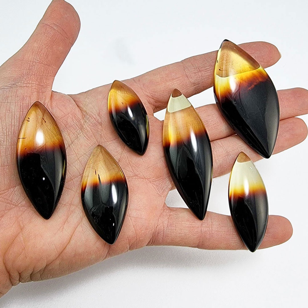 Natural Baltic Amber Two Tone Rainbow Color, Free Marquise Shape Flat ...