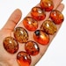Natural Baltic Amber Cognac Color, Free Shape Flat Bottom Cabochons ...