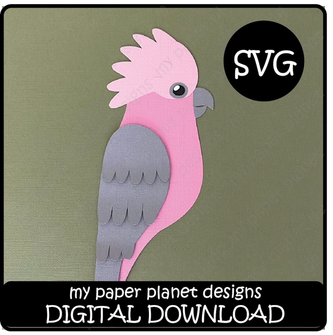 SVG Galah, Pink Cockatoo, DIY Digital Layered Cutting Files for ...