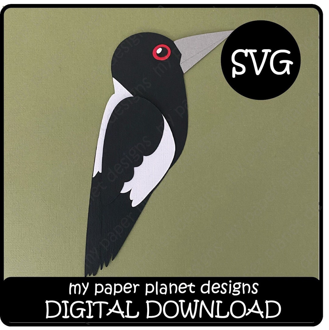 SVG Australian Magpie, DIY Digital Layered Cutting Files for Papercraft ...