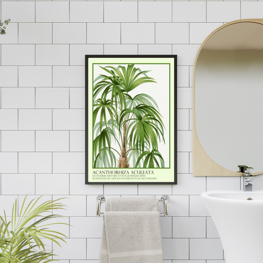 Acanthorhiza Aculeata Plant Poster - Etsy