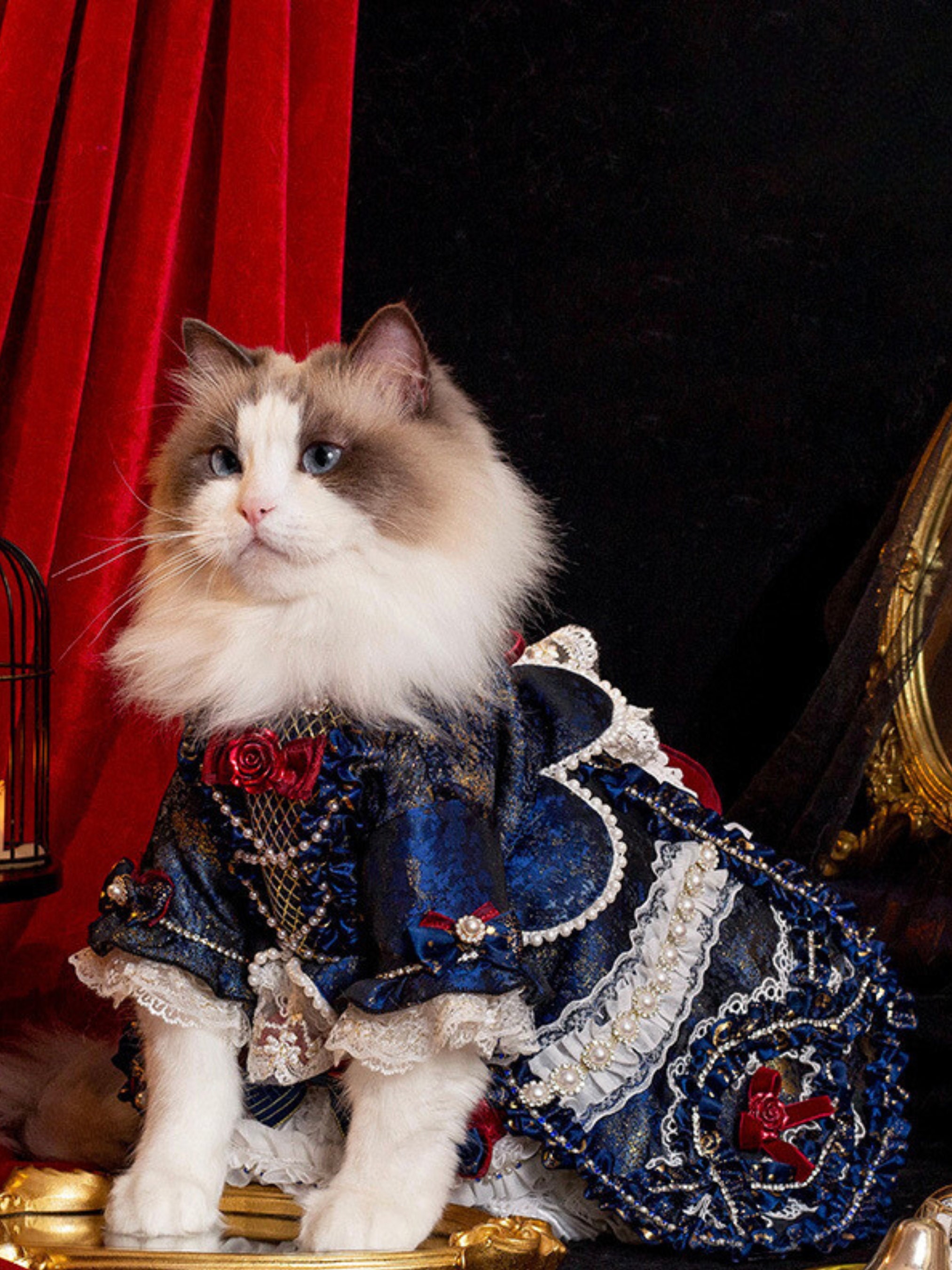 Royal Sapphire Pet Clothes, Luxury Handmade Pet Accessory, Rococo Cat ...