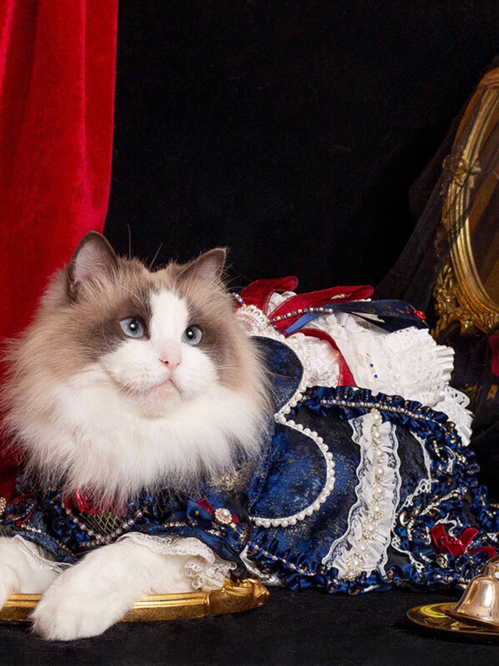 Royal Sapphire Pet Clothes, Luxury Handmade Pet Accessory, Rococo Cat ...