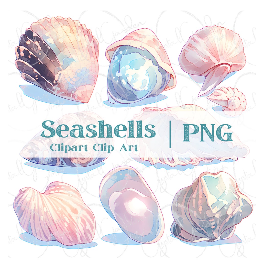 Seashells Digital Illustration Seashells Clipart Seashells - Etsy