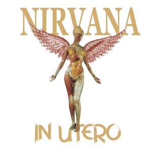 Nirvana Png, Nirvana in Utero, Nirvana Angel Png, Nirvana Svg, Nirvana in Utero Svg - Etsy