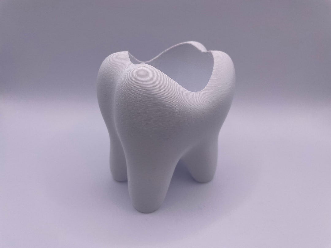 Toothbrush Holder | Tooth Shaped Pot, Bathroom Accessory - Etsy