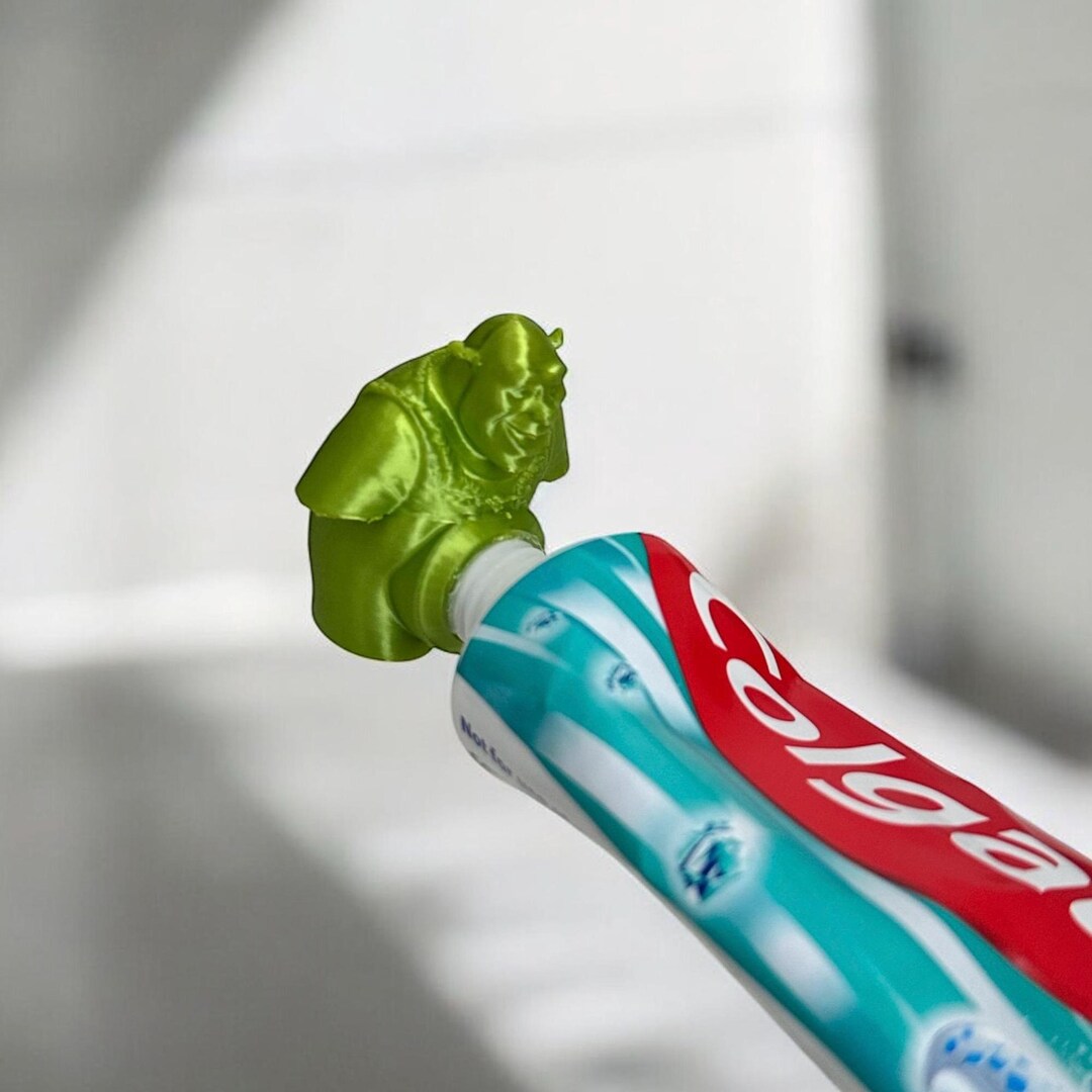 Shrek Toothbrush Topper, Shrek Gift, Funny Ogre Gift, Funny Shrek Gift ...