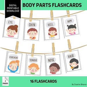 Printable Flashcards Body Parts Flashcards Parts of Body - Etsy