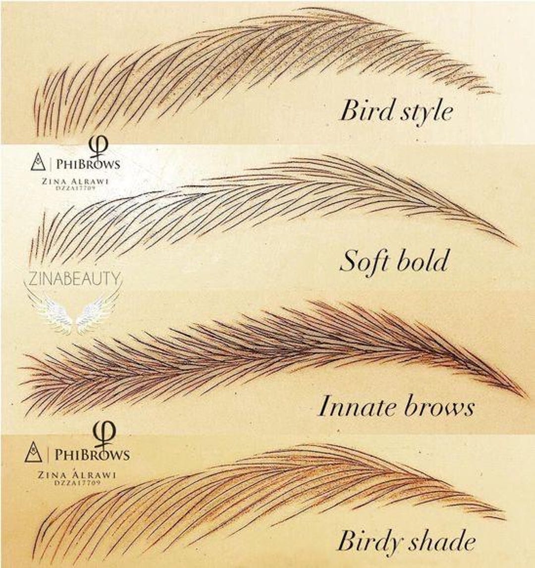 Microblading Course From Beginners to Professionals - Etsy