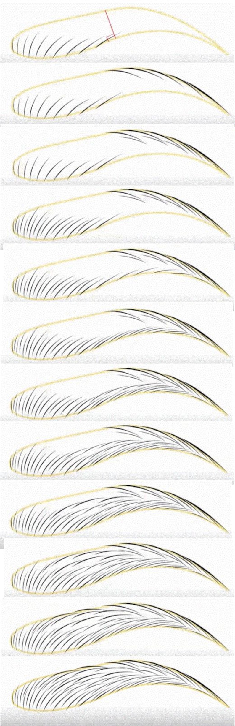 Microblading Course From Beginners to Professionals - Etsy