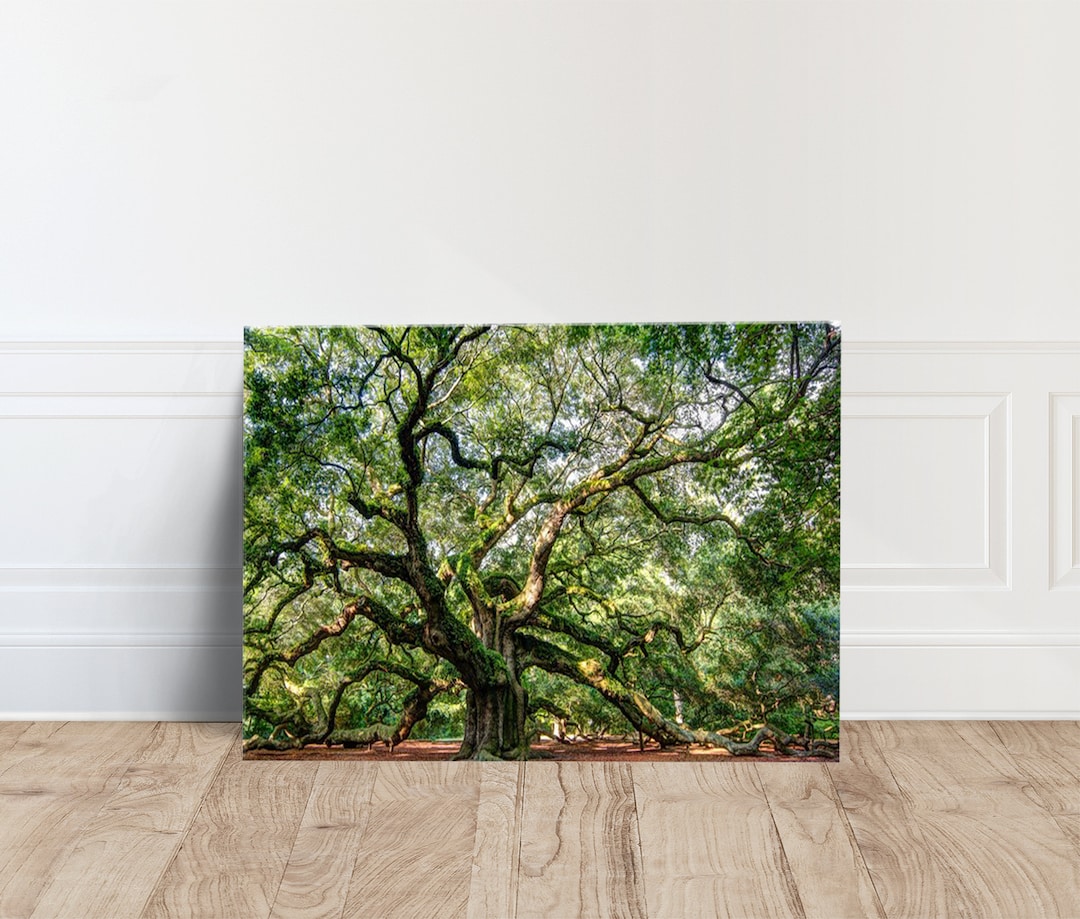 Angel Oak Tree South Carolina ,modern Print Poster Canvas Print Poster ...
