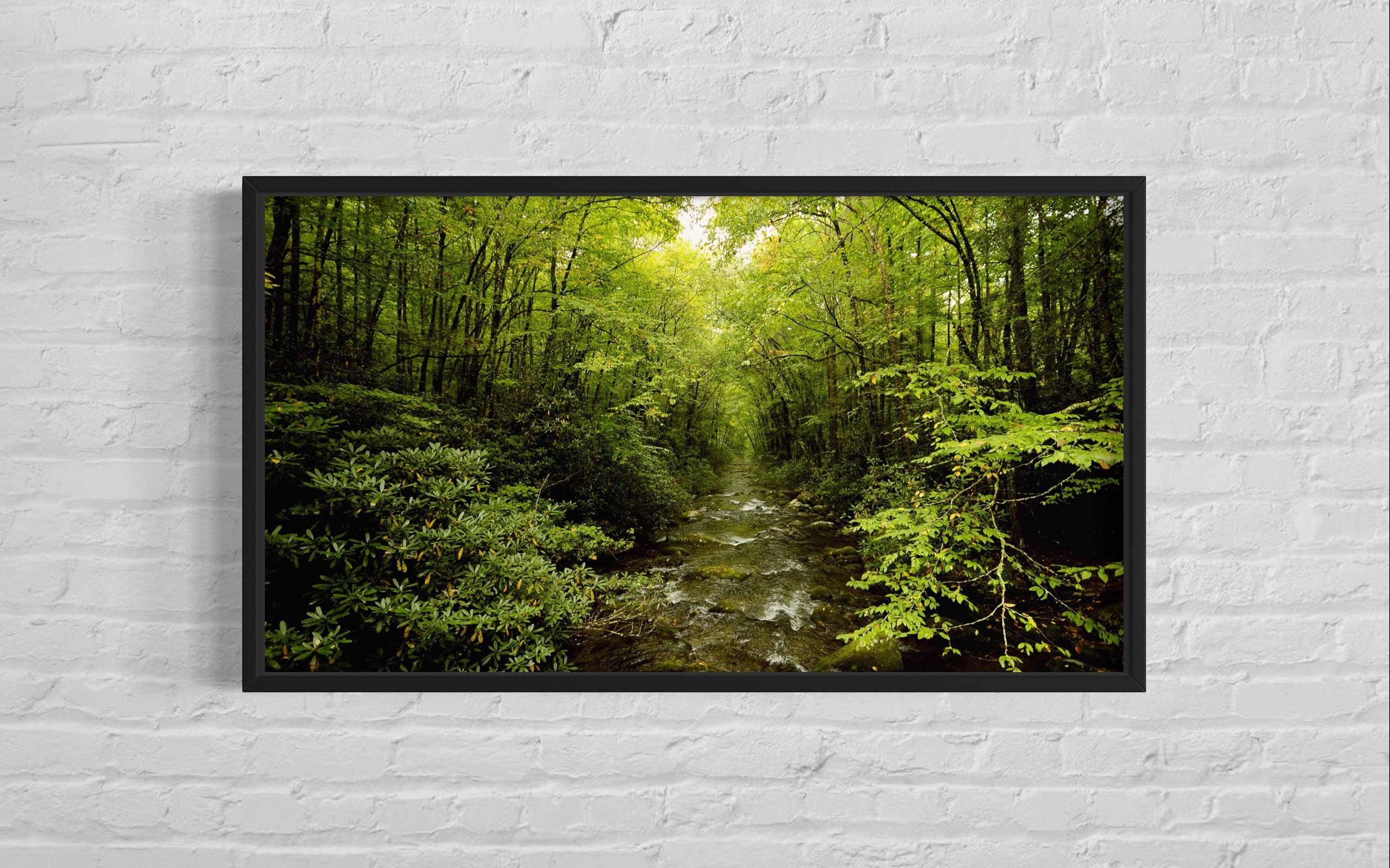 Forest Wall Art, Forest Canvas, Forest Wall Decor, Tree Wall Art, Tree ...