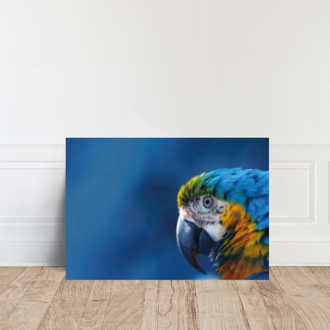 Parrot, Tropical Birds, Colorful, Parrot Canvas, Home Decor Ready to ...