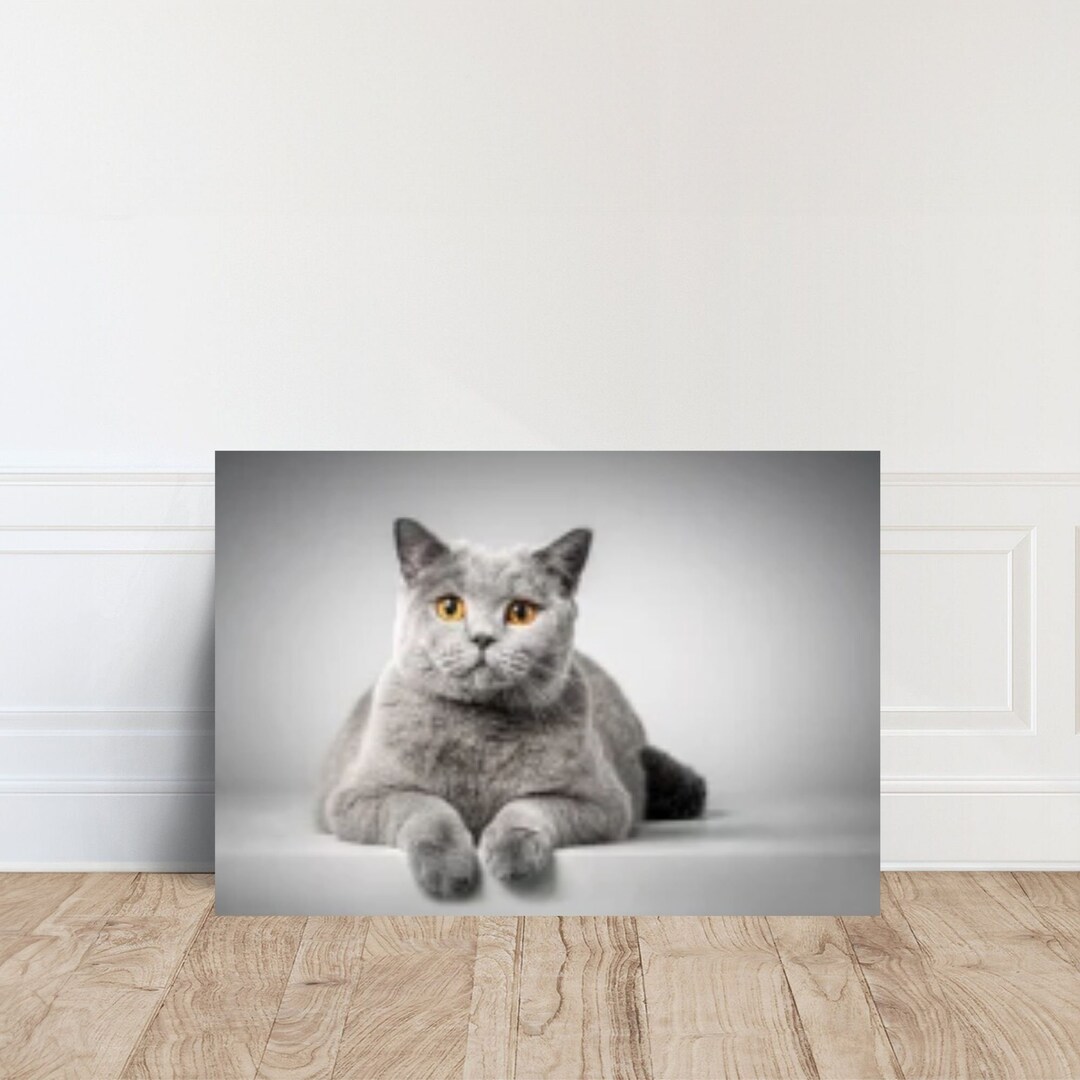 The Grey Cat Print on Canvas, Home Decor Ready to Hang, Canvas Wall Art ...