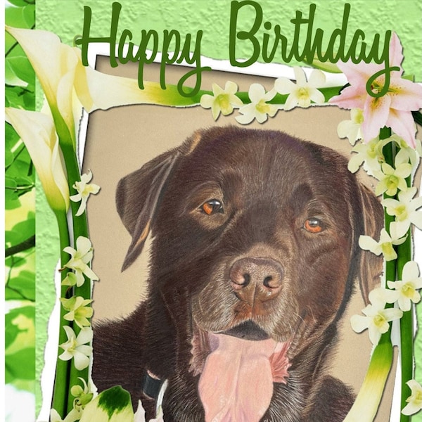 Birthday Card Chocolate Labrador - Etsy