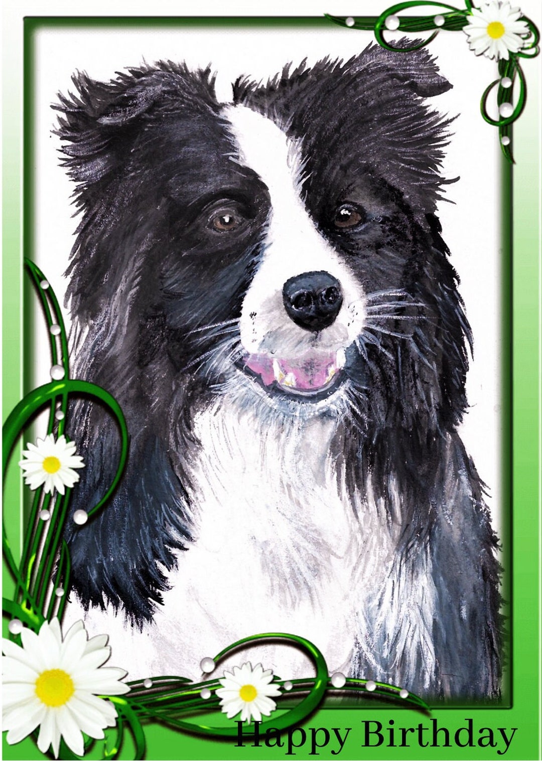 Border Collie Birthday Card, Custom Pet Portrait Cards, Dog Greeting ...
