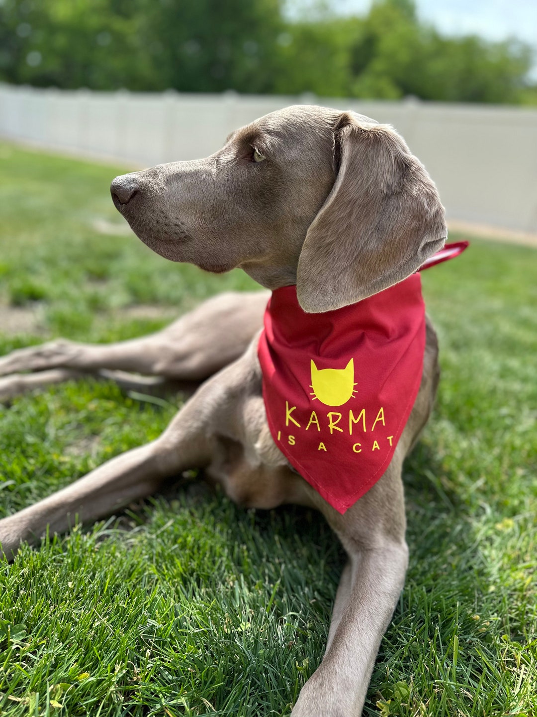 Karma is A Cat Dog Bandana, Dog Gift, Dog Bandana, Dog Lover Gift, Dog ...