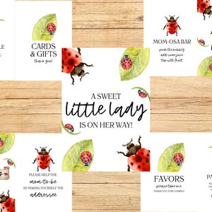 Ladybug Baby Shower Game, A Little Lady is on Her Way Baby Shower, Our ...
