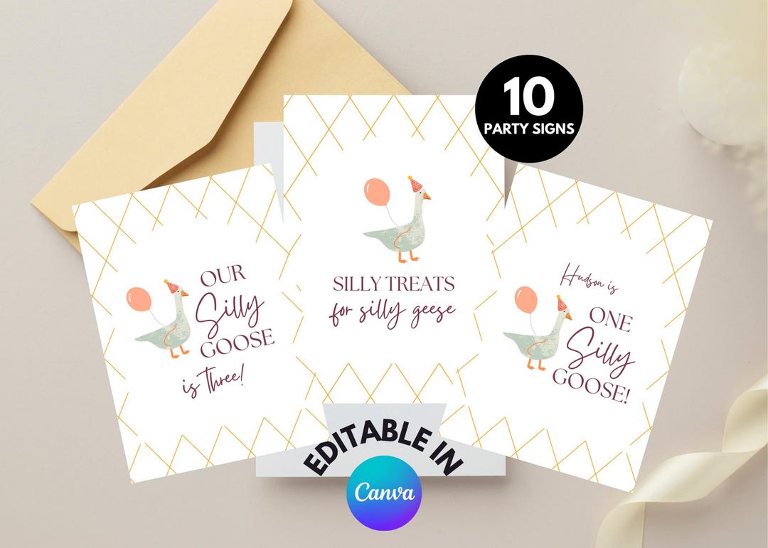 Silly Goose Birthday Sign, One Silly Goose Birthday Party Decoration ...