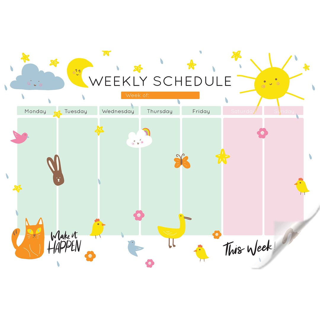 Dry Erase 2024 - 2025 Weekly Planner Organizer Model-7 Plan Your Day ...