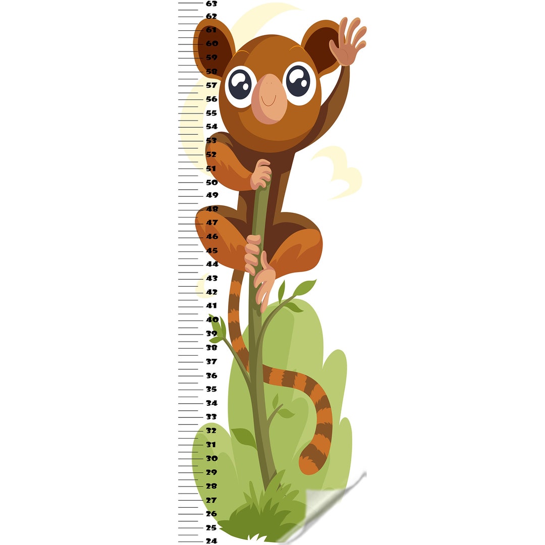 Dry Erase Colorful Growth Chart for Kids Model-4 This Product is A ...