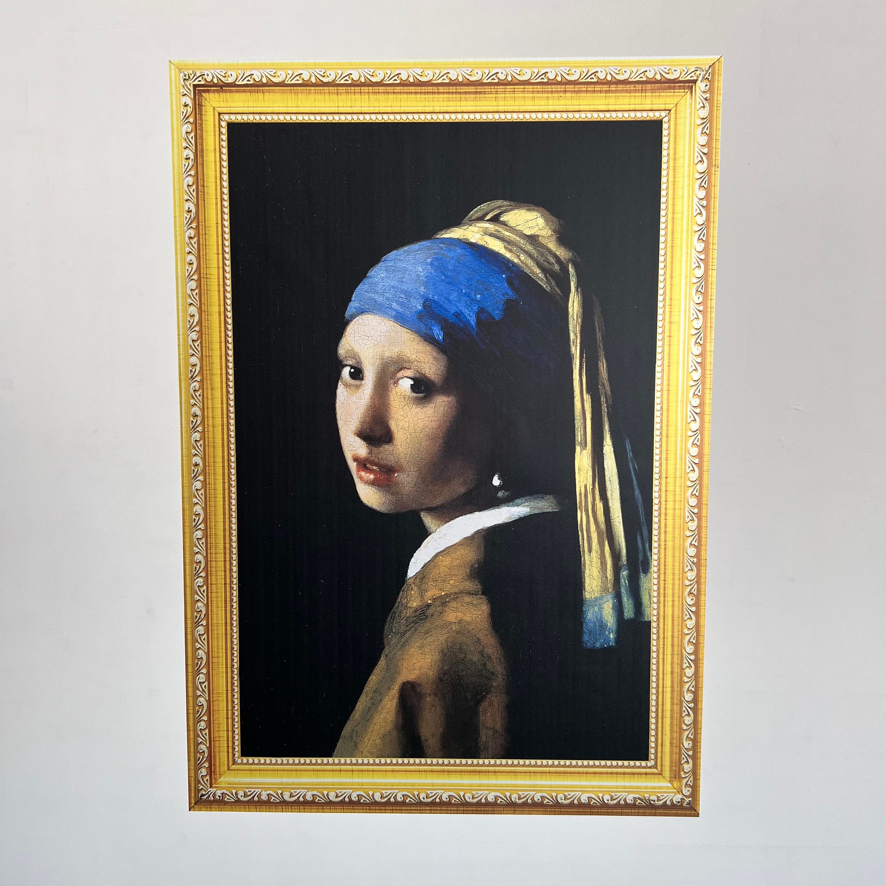 Johannes Vermeer Girl With a Pearl Earring Painting Reusable Wall Art ...
