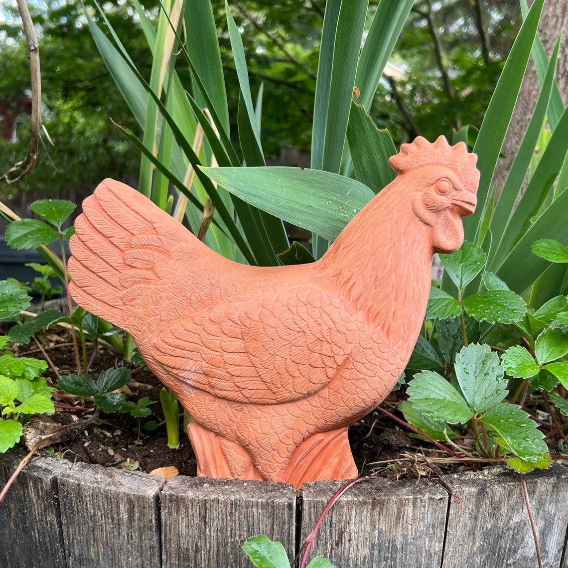 Terracotta Chicken for Garden Decoration - Etsy